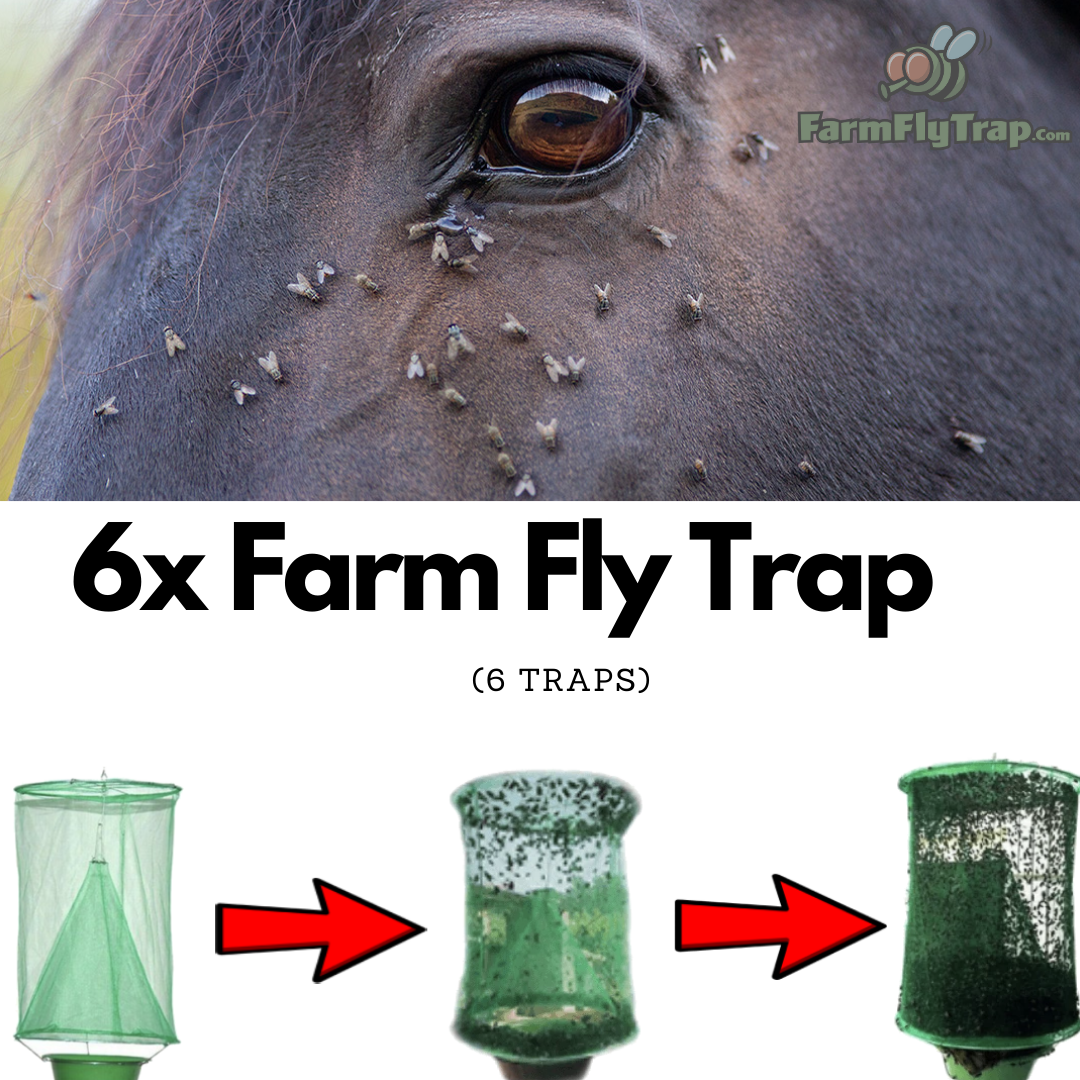 Farm Fly Trap – FarmFlyTrap